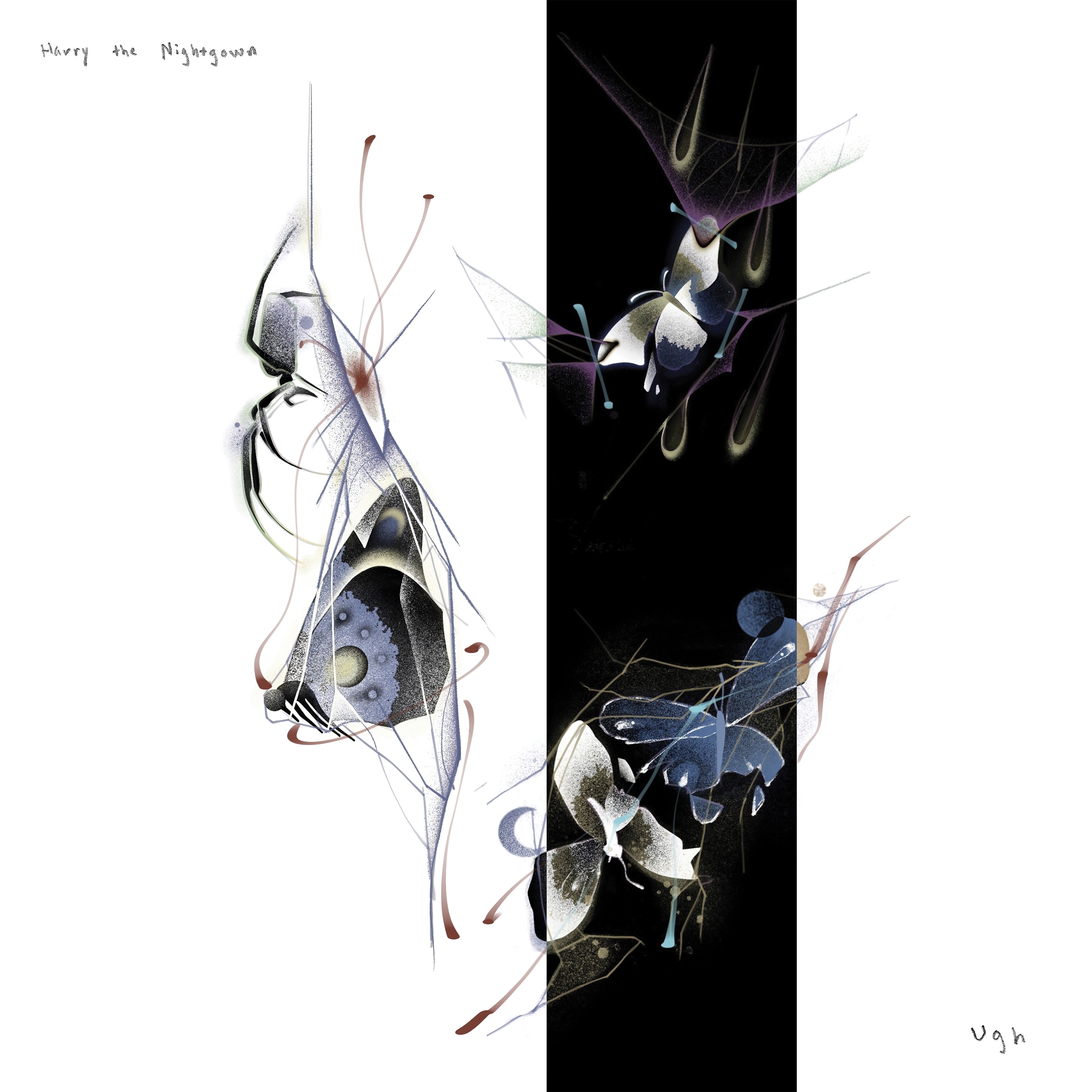 Harry The Nightgown - Ugh | LEAVING RECORDS | Avaialble now on Vinyl ...